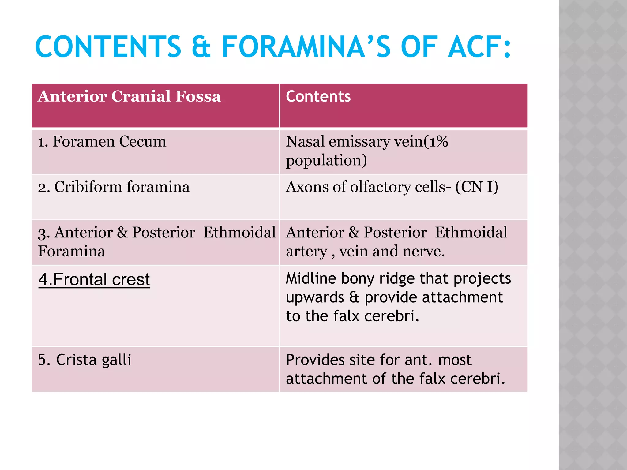 Anterior cranial-fossa | PPT