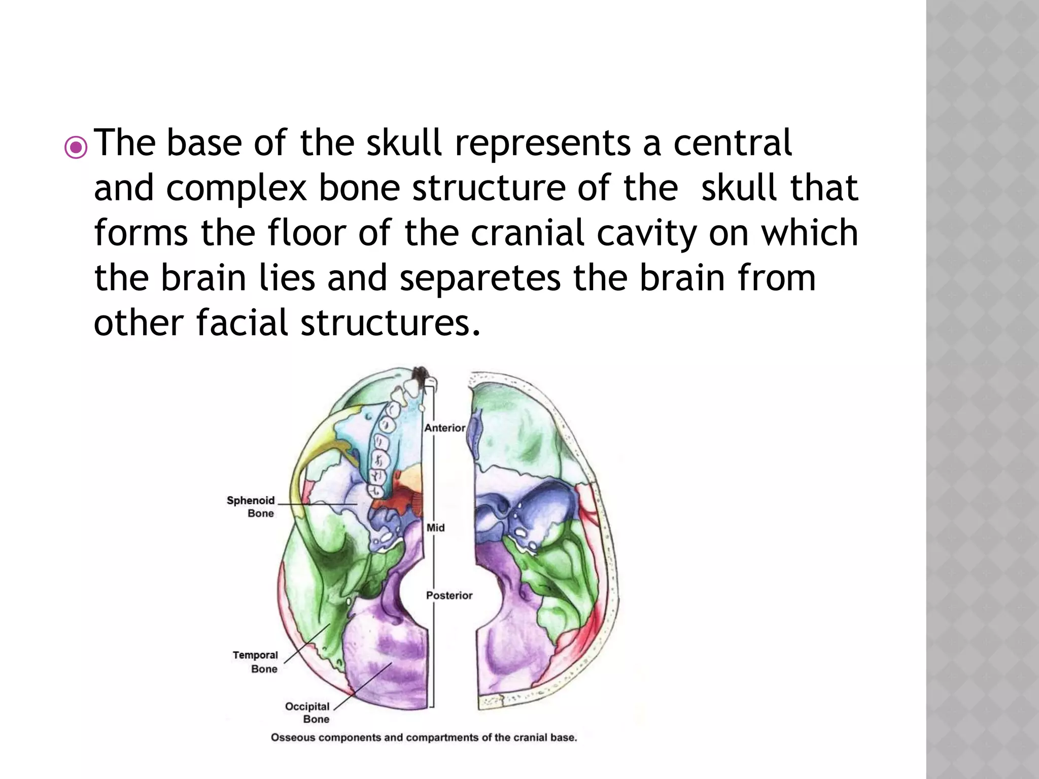 Anterior cranial-fossa | PPT
