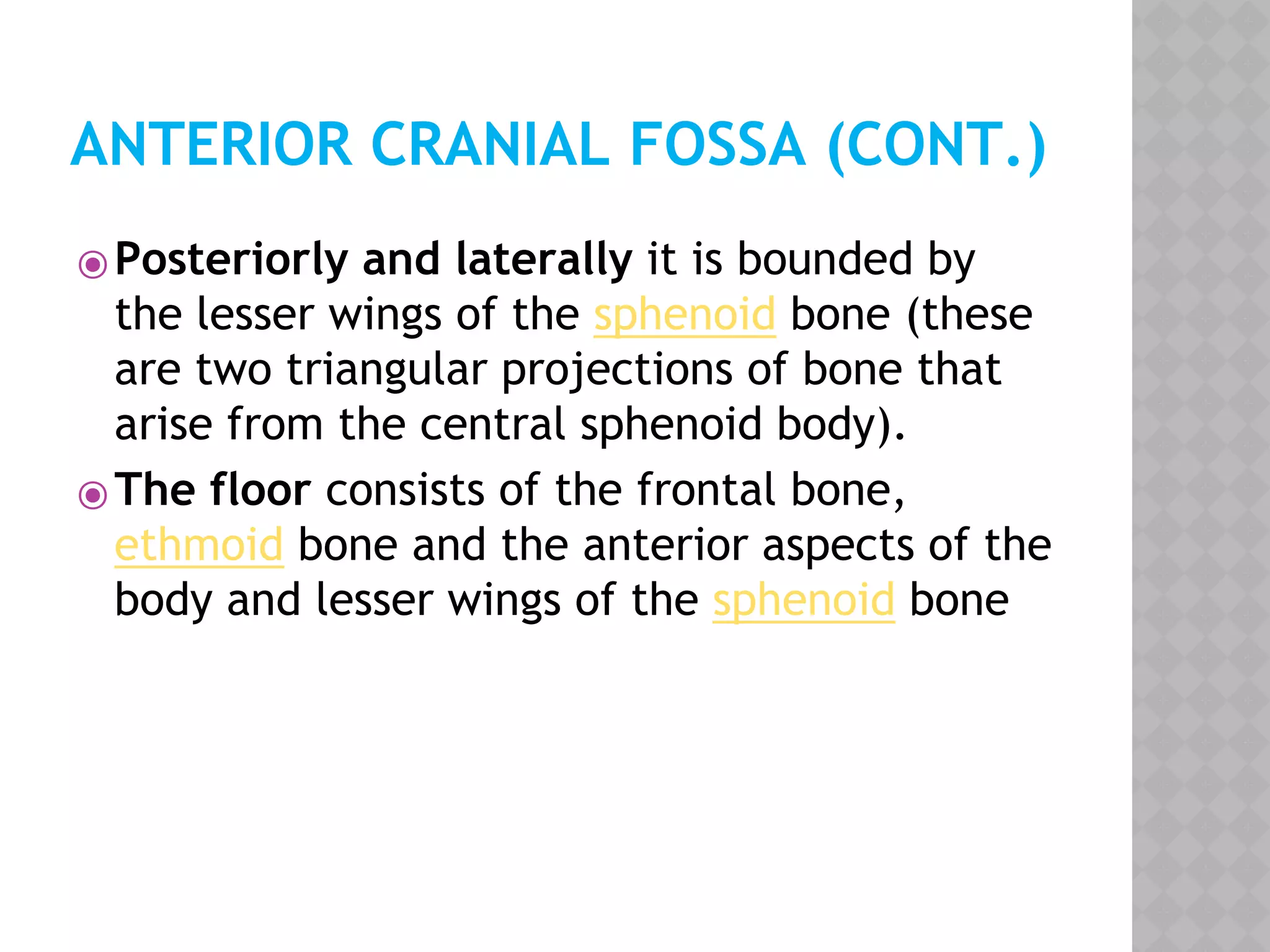 Anterior cranial-fossa | PPT