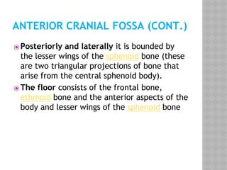 Anterior cranial-fossa | PPT