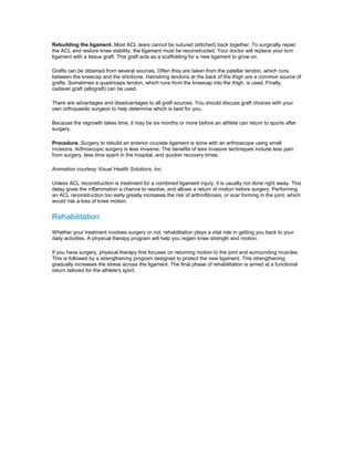 Anterior cruciate-ligament | PDF