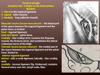 Topographic anatomy and operative ANTERIOR-LATERAL ABDOMINAL HERNIAS | PPT