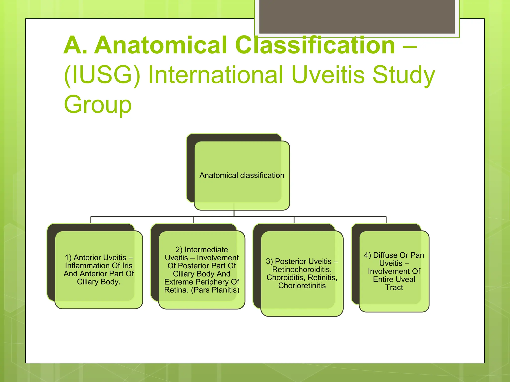 _Anterior-Uveitis.pptx ,,,,,,,,,,,,,,,,, | PPTX