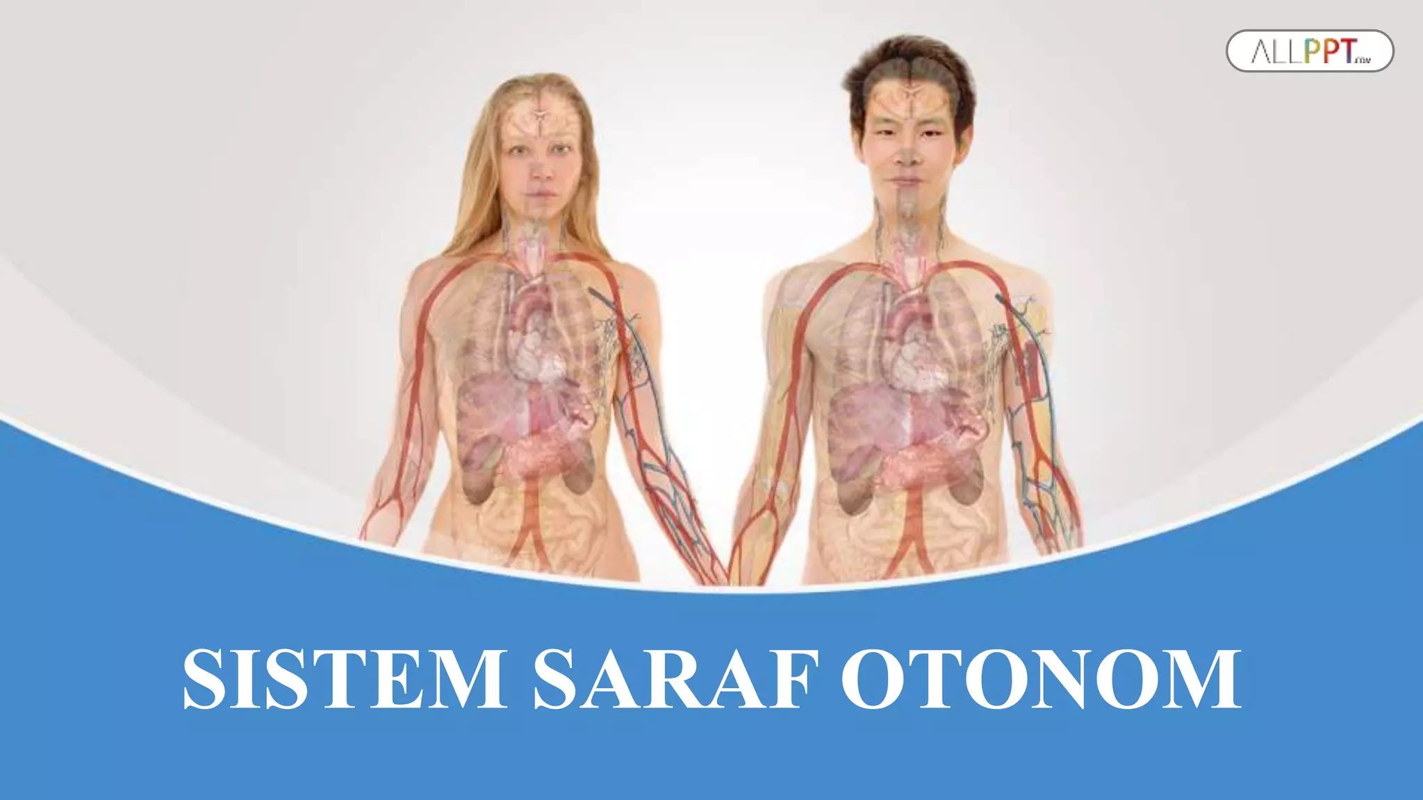 SISTEM SARAF OTONOM | PPTX
