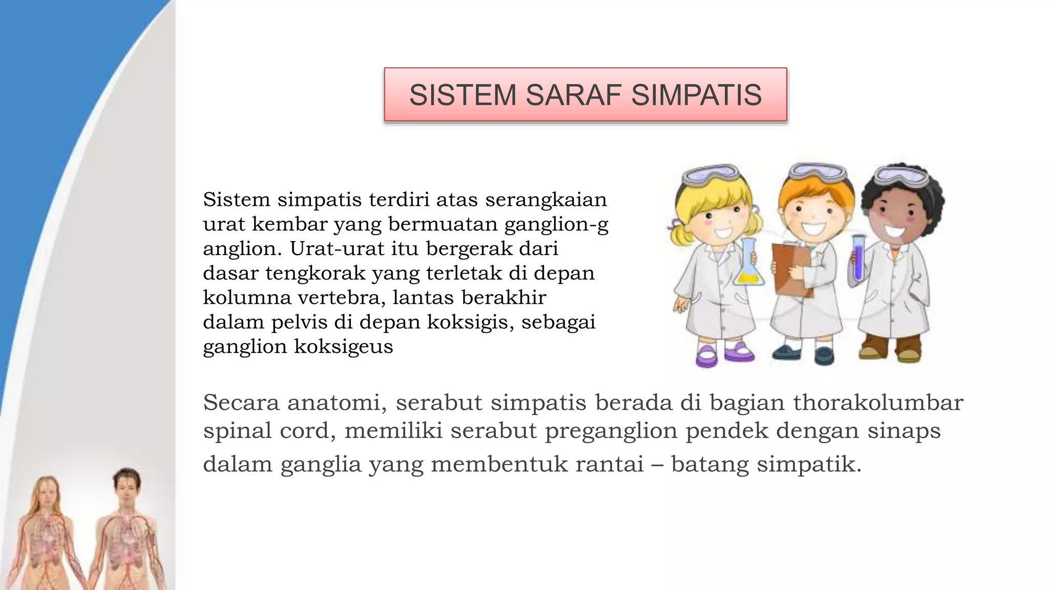 SISTEM SARAF OTONOM | PPTX