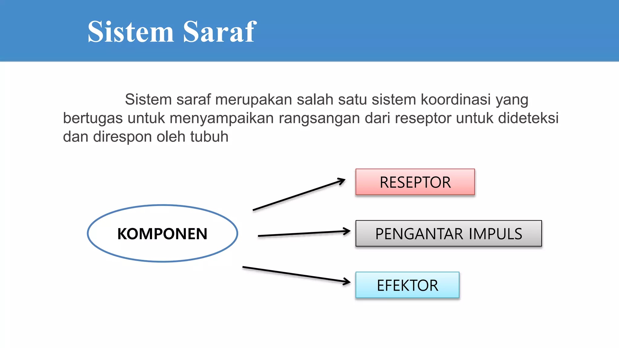SISTEM SARAF OTONOM | PPTX