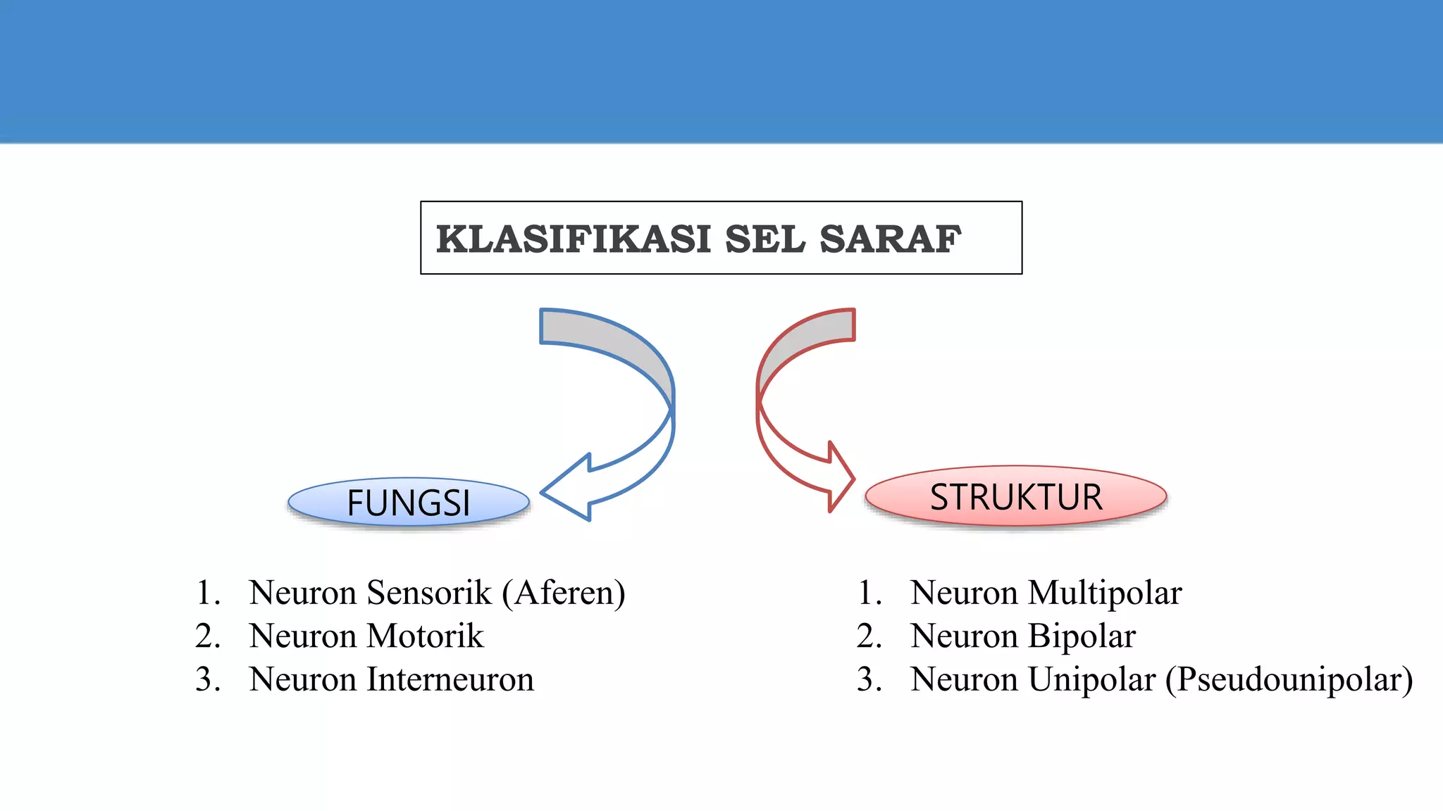 SISTEM SARAF OTONOM | PPTX