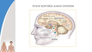 SISTEM SARAF OTONOM | PPTX