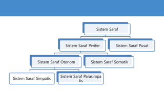 SISTEM SARAF OTONOM | PPTX