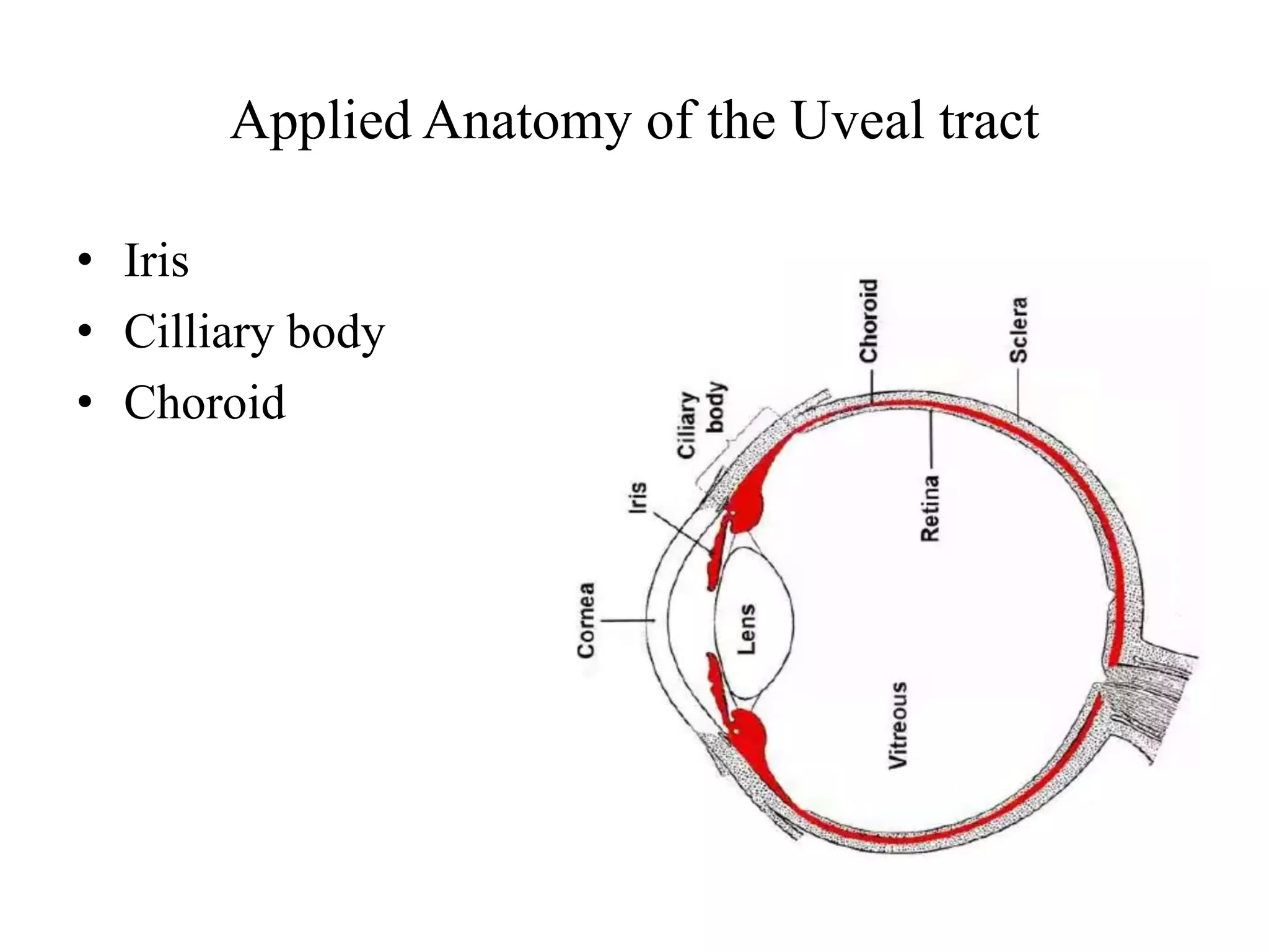 Anterior Uveitis.pptx