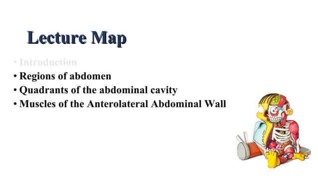 Ppt Anterior Abdominal Wall Powerpoint Presentation