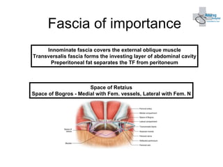 Anterior abdominal anatomy ppt | PPTX