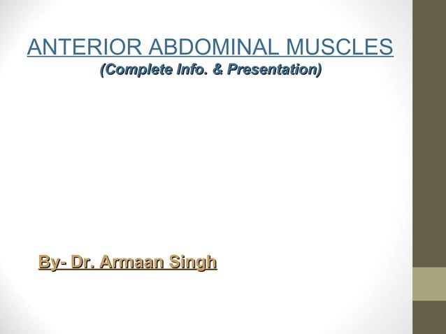 Anterior abdominal muscles | PPT