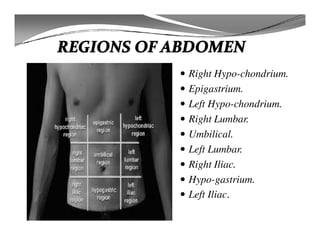 Anterior abdominal wall | PDF