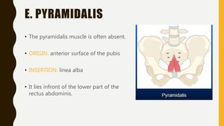 anteriorabdo is bestminalwall-200822131803.pdf | Free Download
