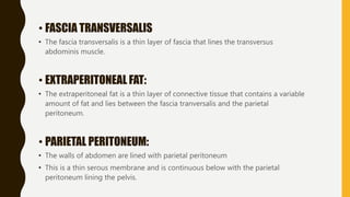 Anterior abdominal wall | PPTX