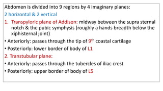 anterior abdominal wall.pptx | Pregnancy | Reproductive Health