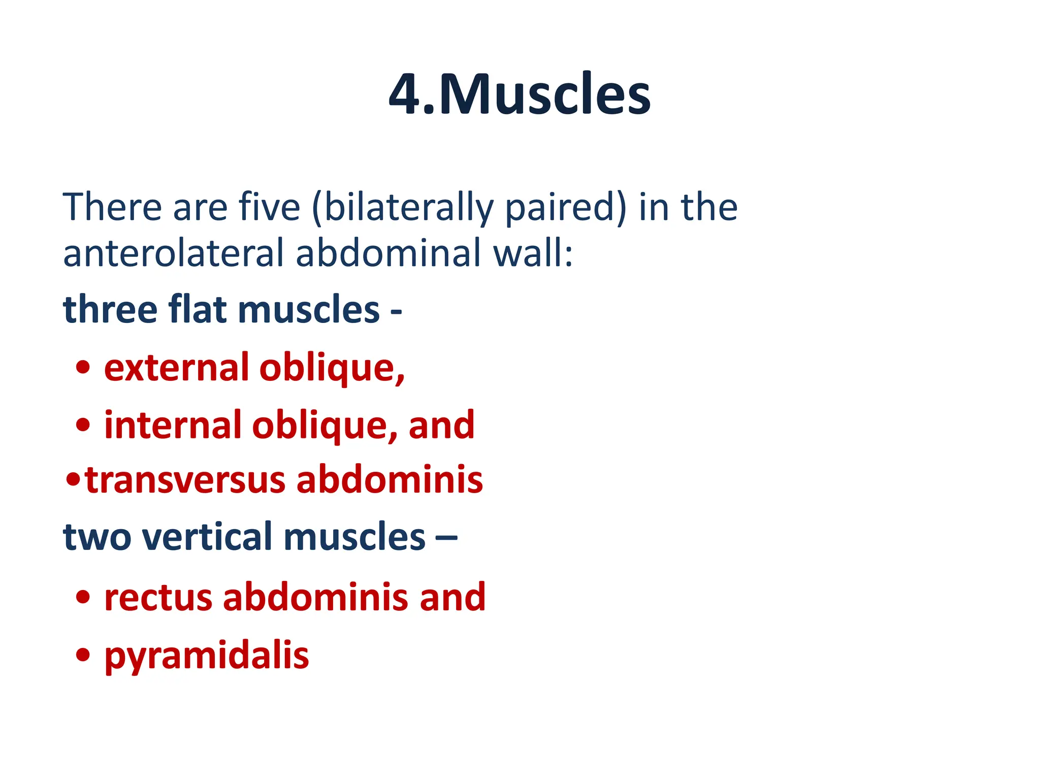 Anterior abdominal wall.pptx