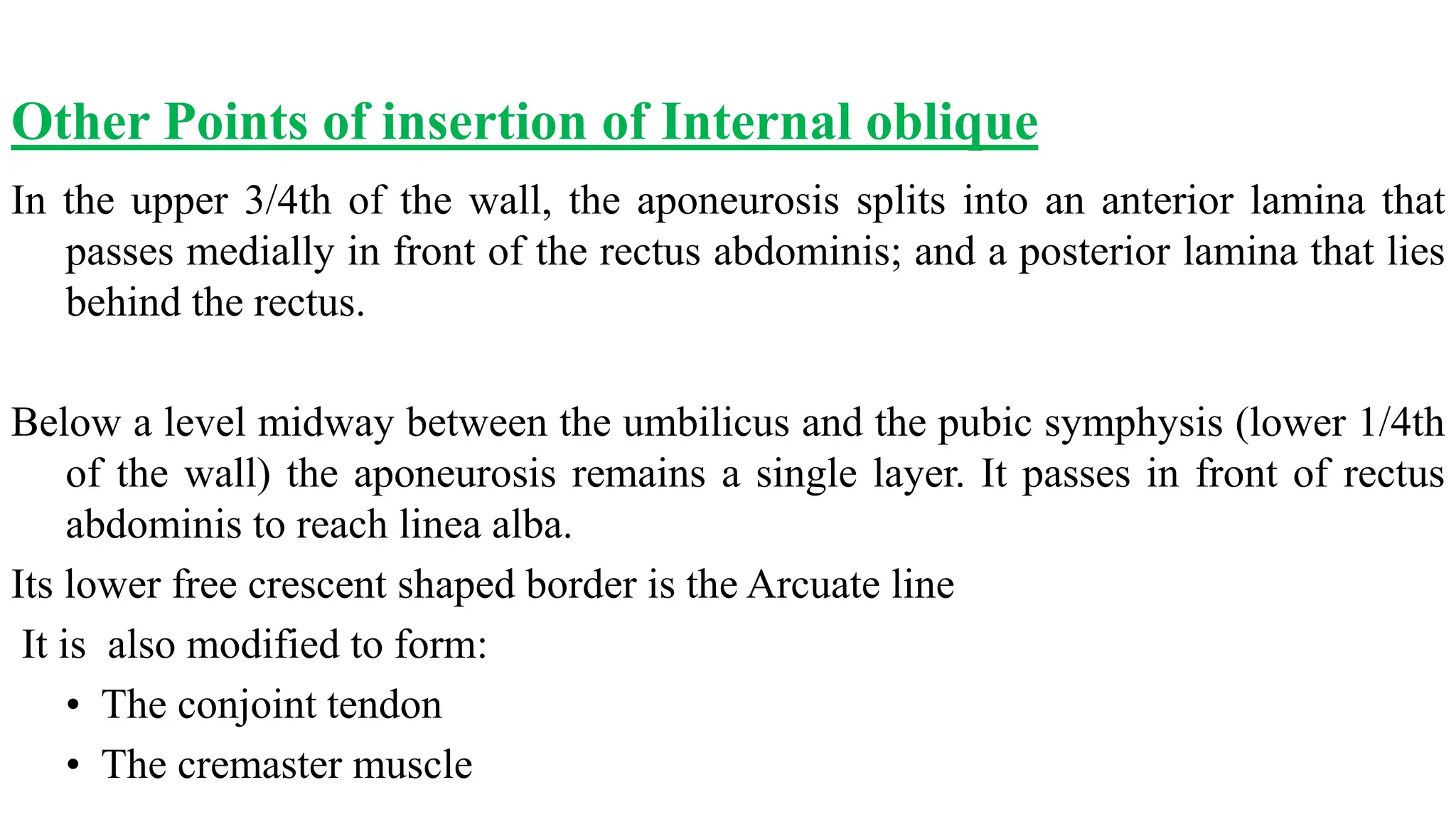ANTERIOR ABDOMINAL WALL.pptxAnterior abdomen wall Rectus sheath | PPTX | Death, Injury, or ...