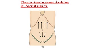 ANTERIOR ABDOMINAL WALL.pptxAnterior abdomen wall Rectus sheath | PPTX | Death, Injury, or ...