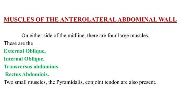 ANTERIOR ABDOMINAL WALL.pptxAnterior abdomen wall Rectus sheath | PPTX | Death, Injury, or ...