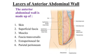 ANTERIOR ABDOMINAL WALL.pptxAnterior abdomen wall Rectus sheath | PPTX | Death, Injury, or ...
