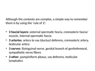 ANTERIOR ABDOMINAL WALL general anat.pptx