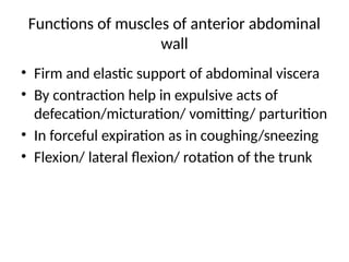 ANTERIOR ABDOMINAL WALL general anat.pptx