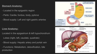 Anterior abdominal wall & layers of perotoneum.pptx
