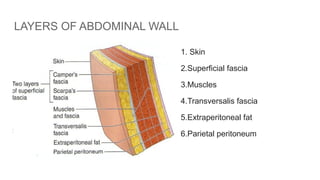 Anterior abdominal wall & layers of perotoneum.pptx