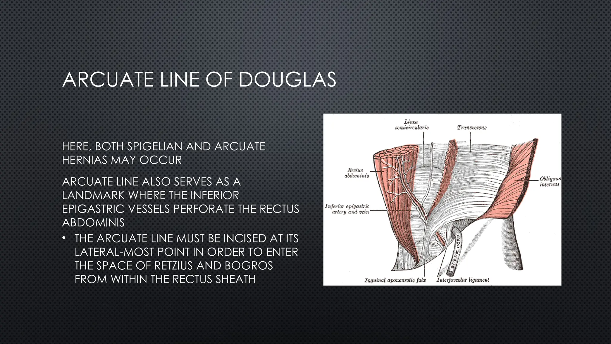 Anterior abdominal wall a surgical notes .pptx