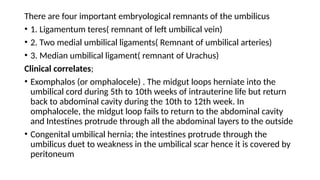 anterior abdominal wall and clinical corrolates.pptx