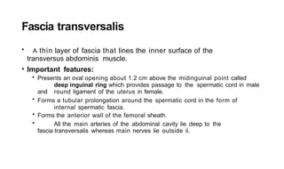 A brief review of Anterior Abdominal Wall.pptx