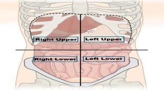 ANTERIOR ABDOMINAL WALL.pptx,DR.MITHU PAUL,ASST PROFESSOR,MMC | PPTX