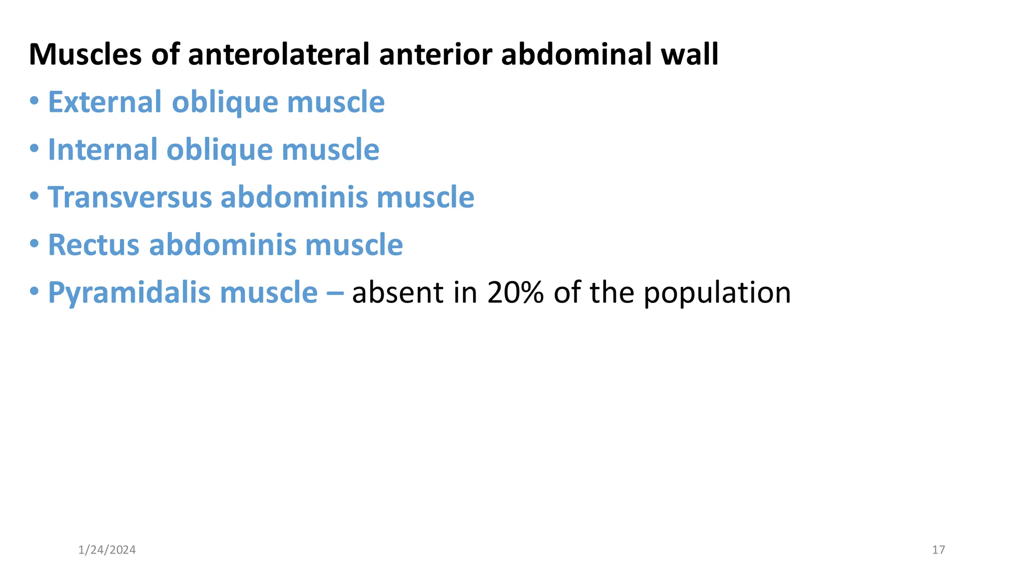 Anterior Abdominal Wall and it's vasculature 2024.pdf