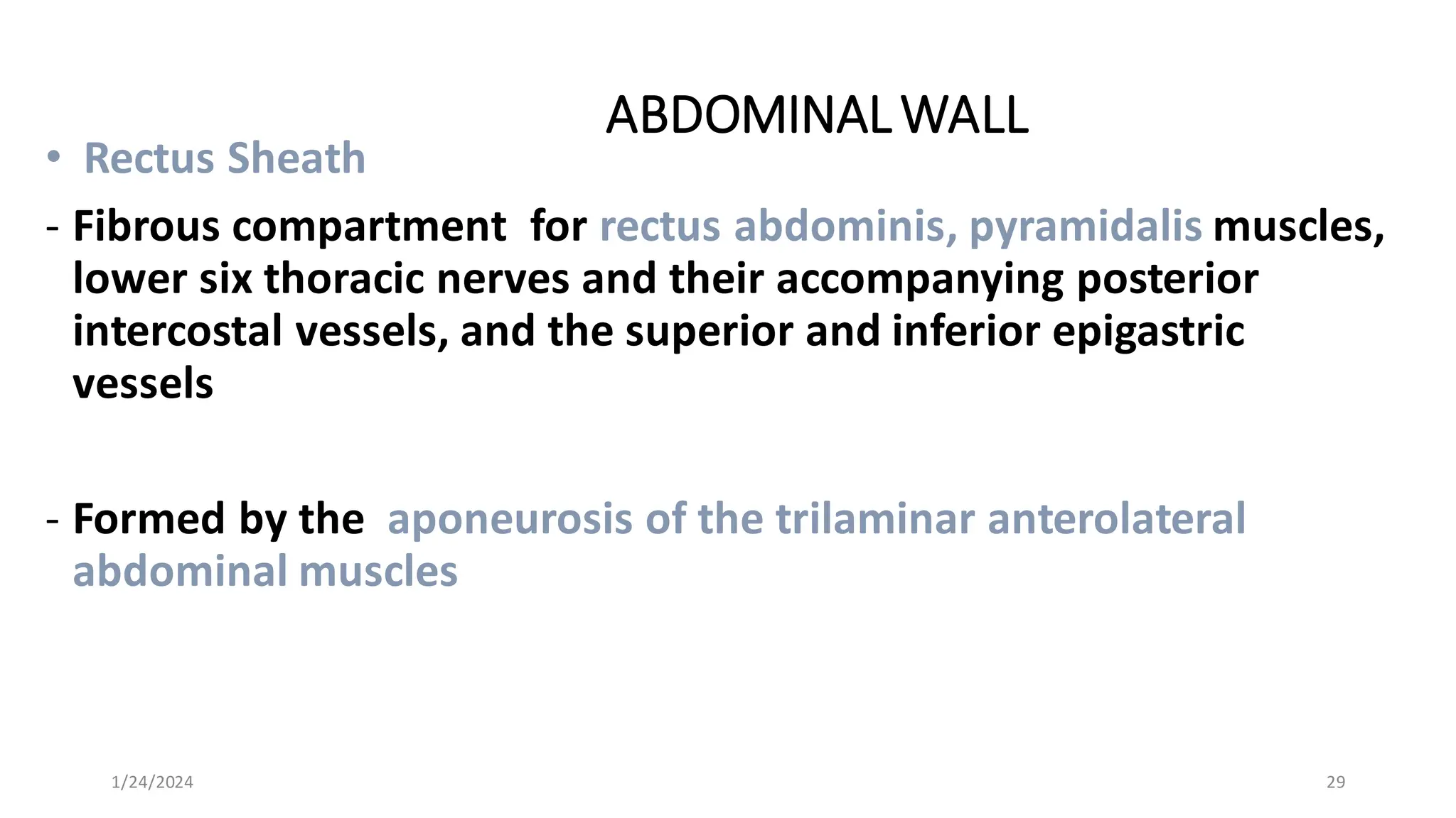 Anterior Abdominal Wall and it's vasculature 2024.pdf