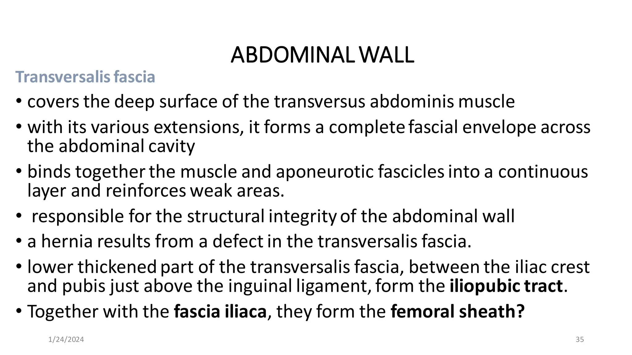 Anterior Abdominal Wall and it's vasculature 2024.pdf