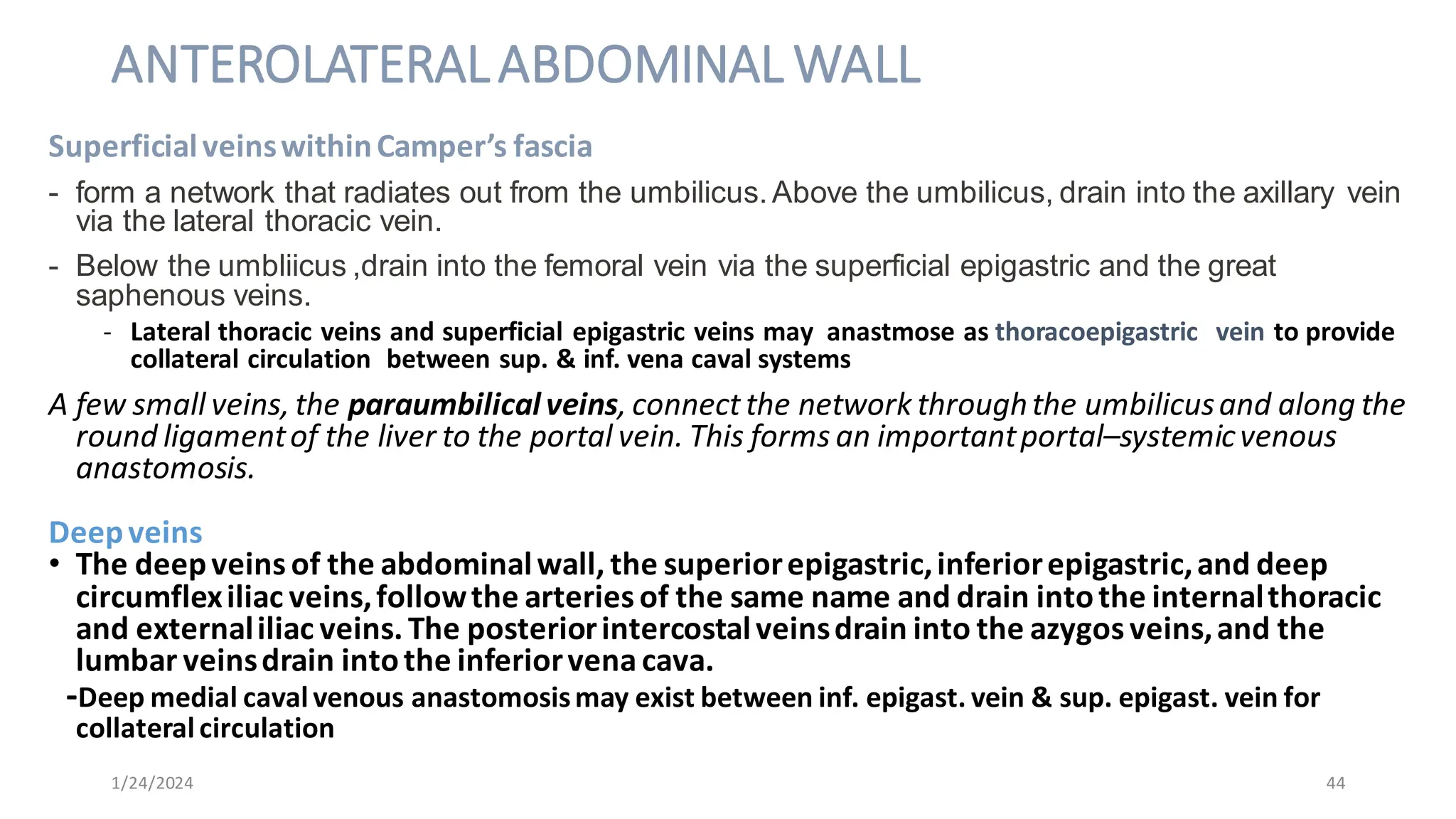 Anterior Abdominal Wall and it's vasculature 2024.pdf