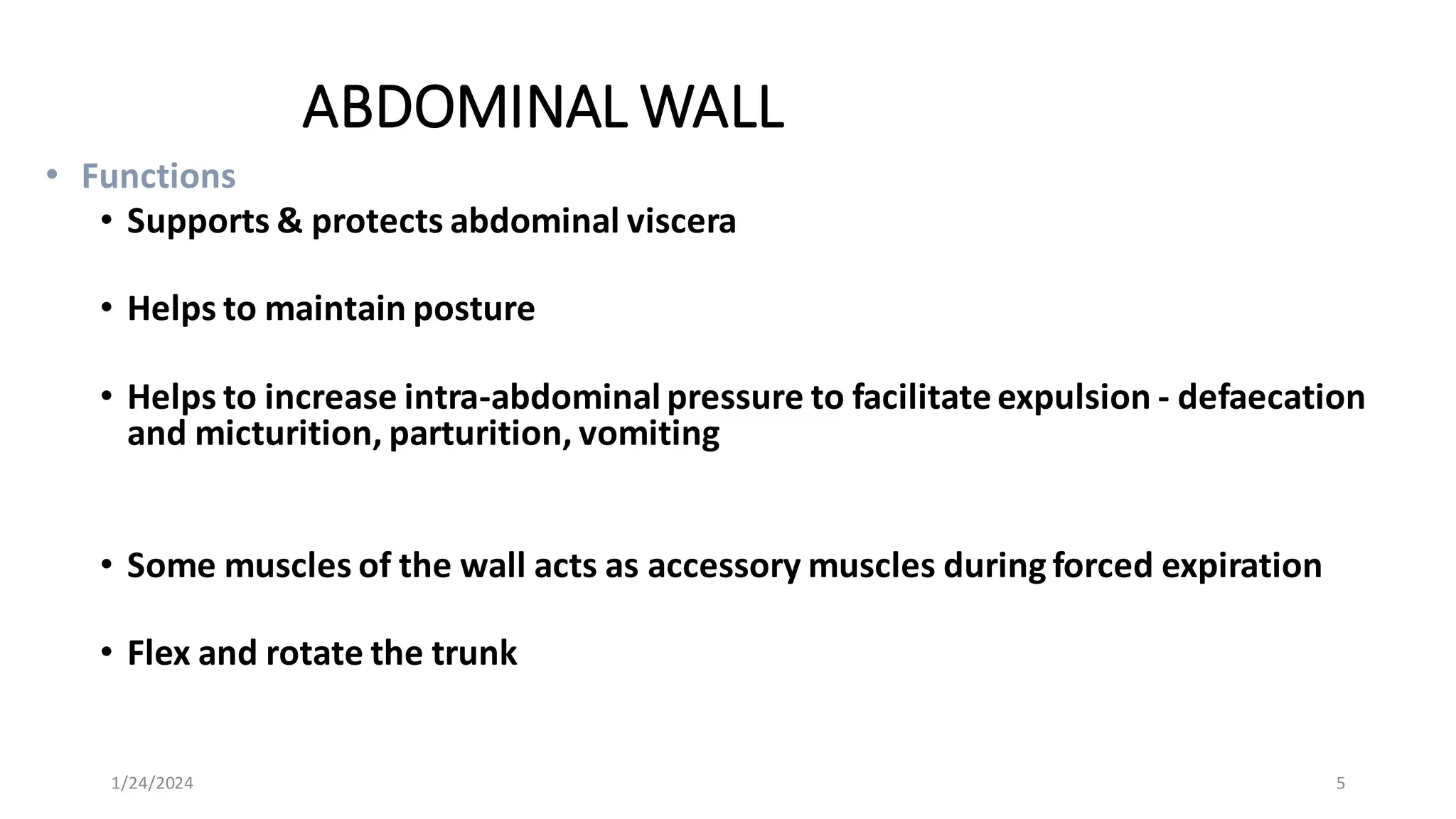 Anterior Abdominal Wall and it's vasculature 2024.pdf