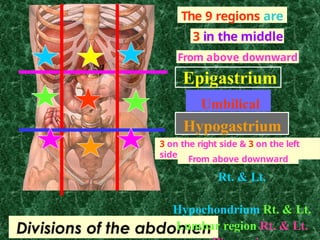 Anterior abdominal wall and hernias 2016.pptx