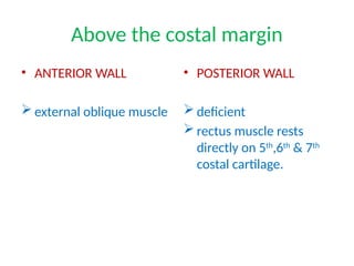 ANTERIOR ABDOMINAL WALL AND IT’S BLOOD SUPPLY.pptx