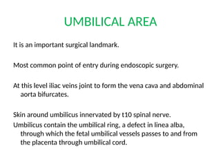 ANTERIOR ABDOMINAL WALL AND IT’S BLOOD SUPPLY.pptx