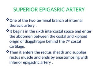 ANTERIOR ABDOMINAL WALL AND IT’S BLOOD SUPPLY.pptx