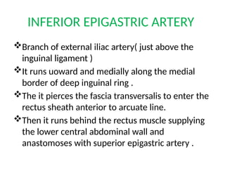 ANTERIOR ABDOMINAL WALL AND IT’S BLOOD SUPPLY.pptx