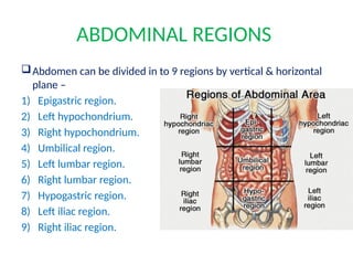 ANTERIOR ABDOMINAL WALL AND IT’S BLOOD SUPPLY.pptx