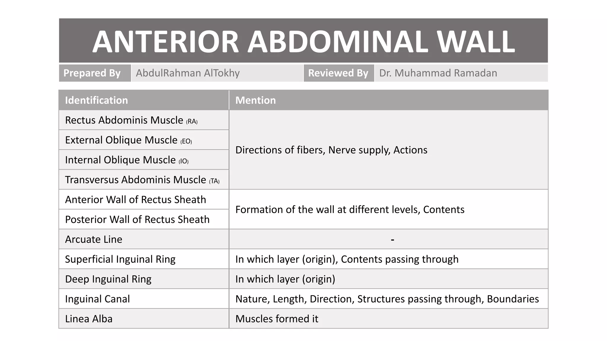 Anterior abdominal wall lab summary | PPT