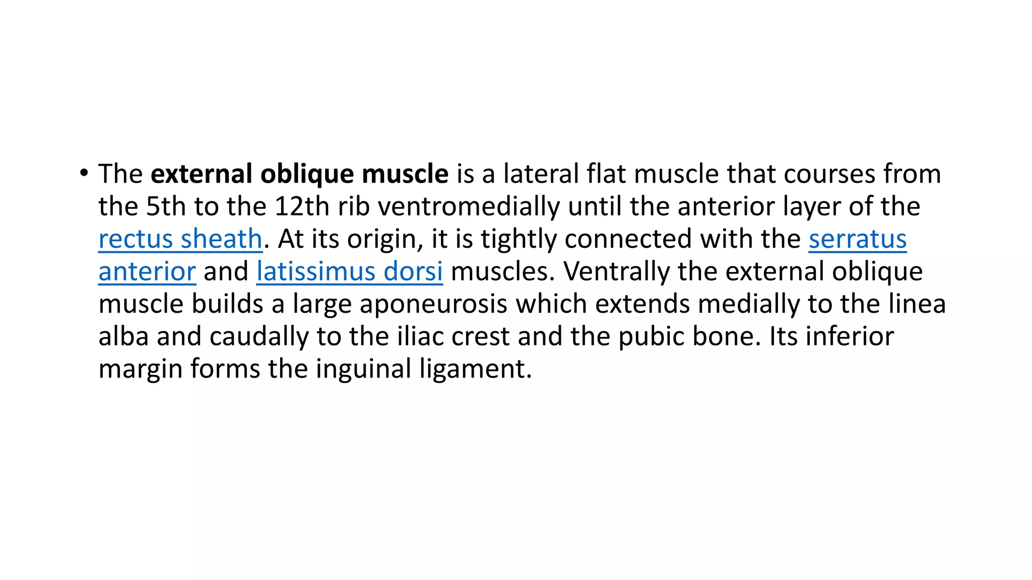 Anterior abdominal wall , Rectus sheath and Inguinal.pptx