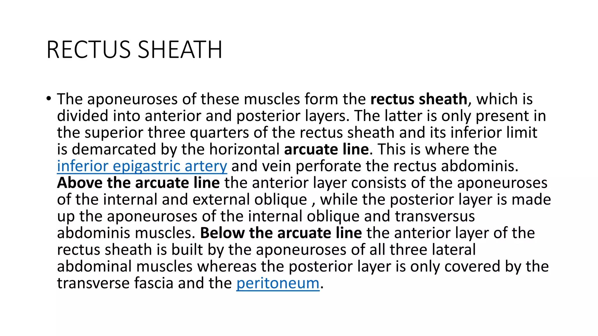 Anterior abdominal wall , Rectus sheath and Inguinal.pptx
