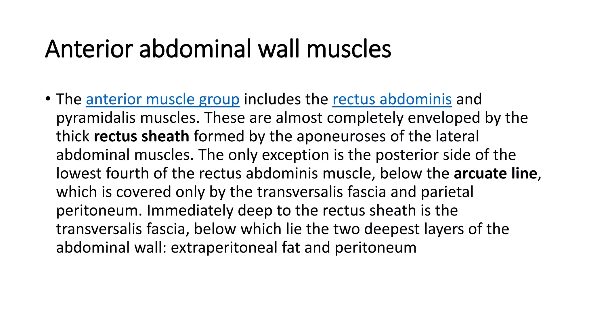 Anterior abdominal wall , Rectus sheath and Inguinal.pptx