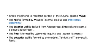 Anterior abdominal wall , Rectus sheath and Inguinal.pptx